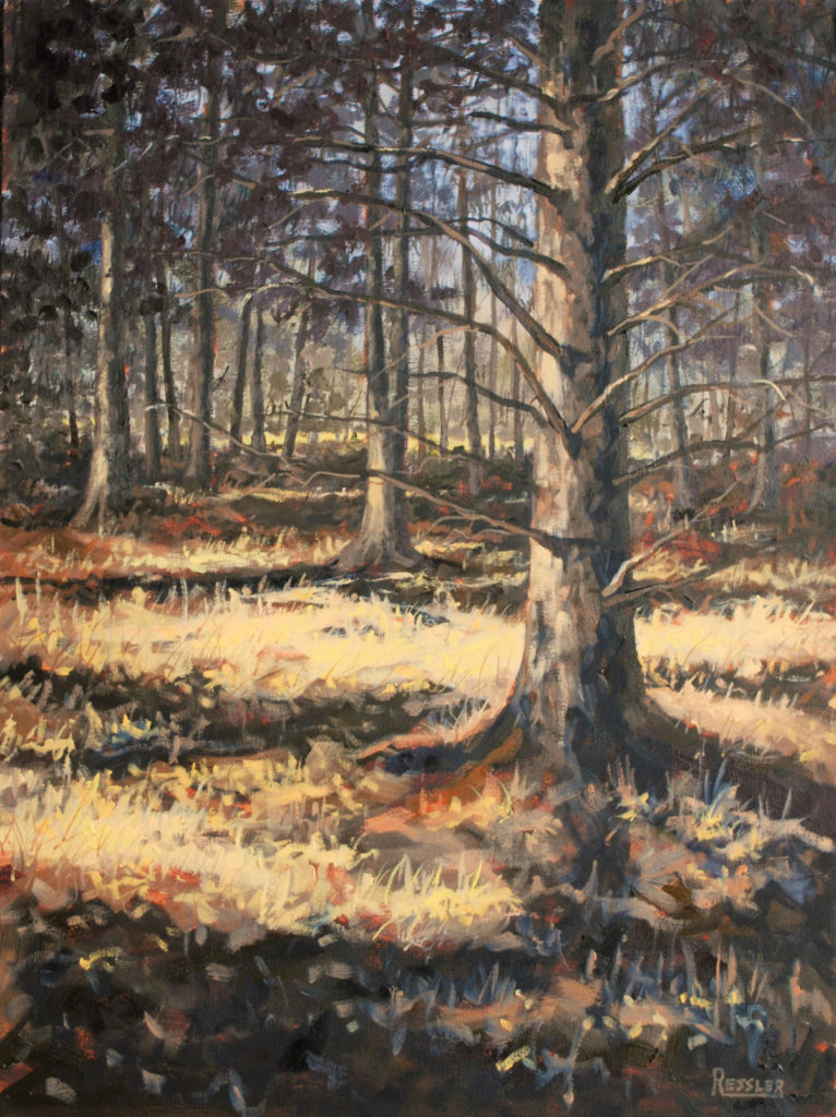 Galleries – Arts & Cultural Council of Bucks County